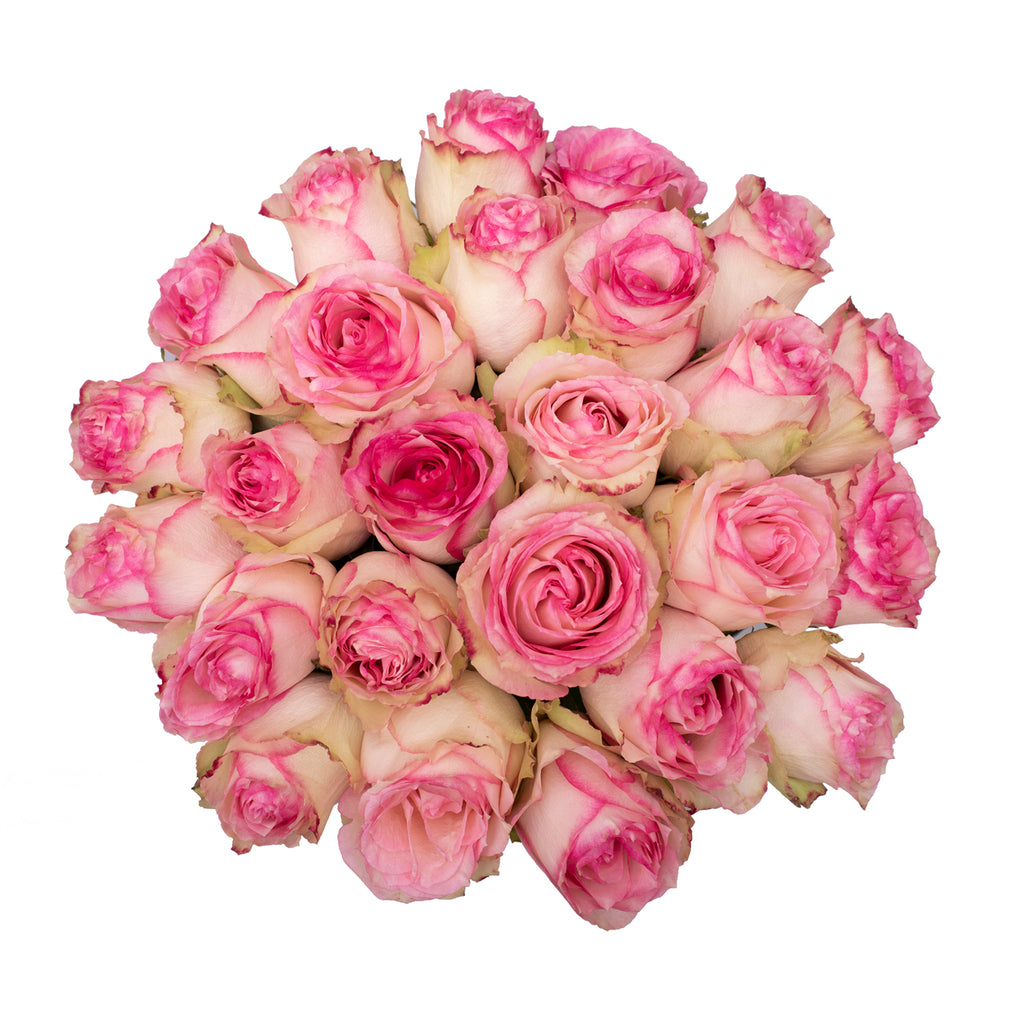 how to color white roses