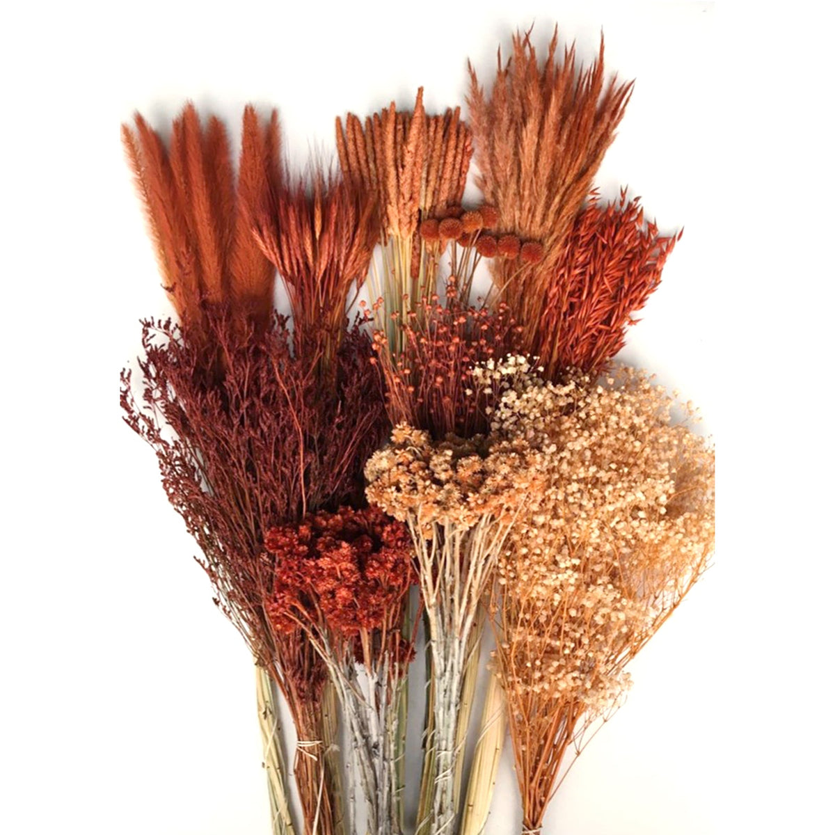 Dried Florals Collection – Naturally Preserved Beauty That Lasts
