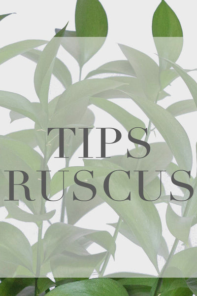 Silver Painted Ruscus – Bloomingmore