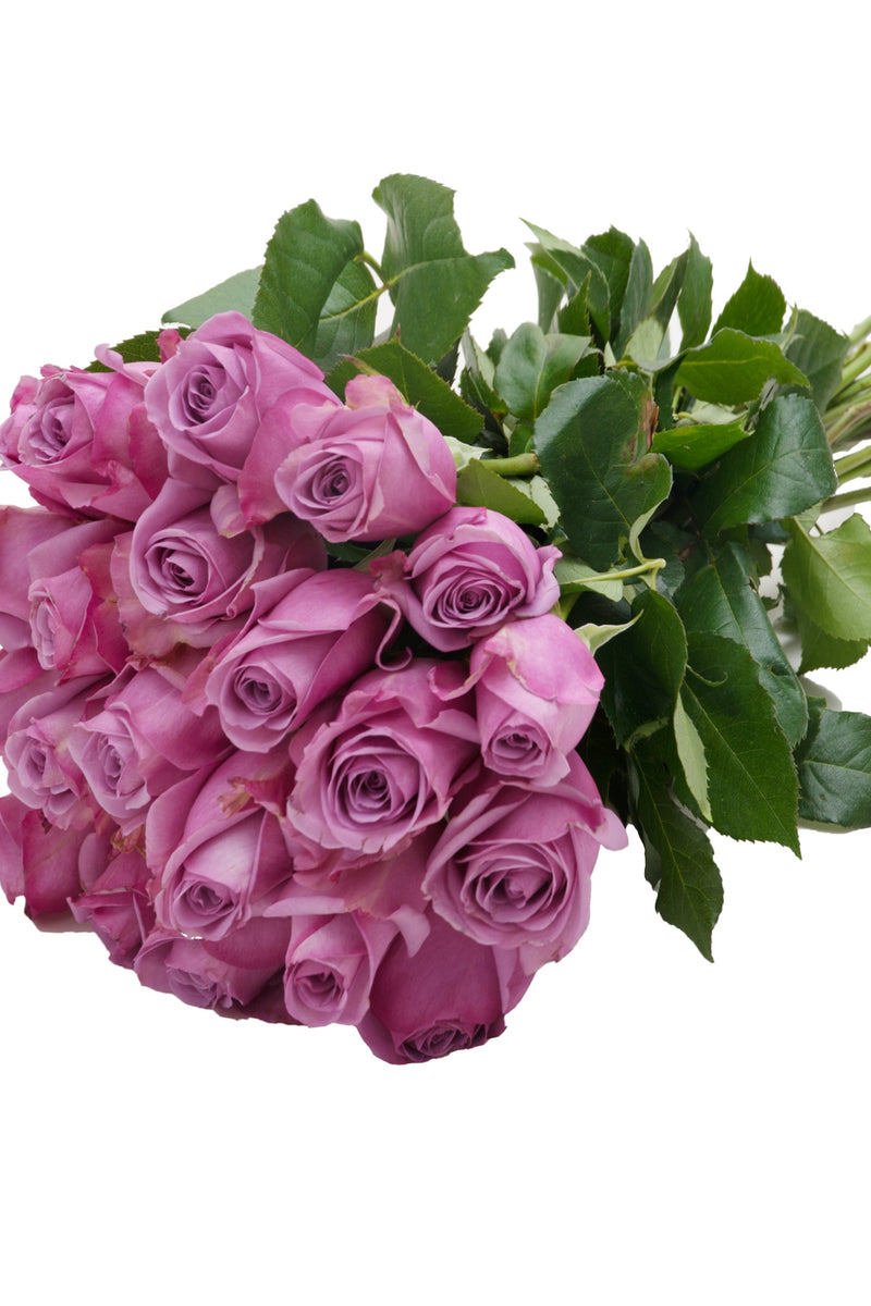 24 Farm Fresh Lavender Roses Gift – Bloomingmore