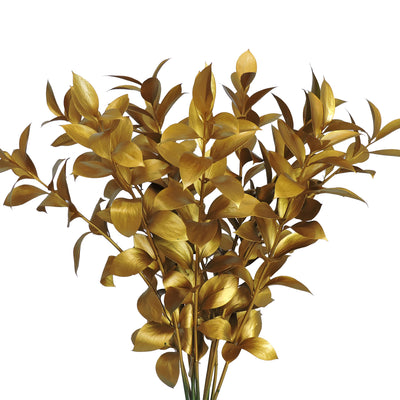 Wholesale Silver and Gold Metallic Ruscus – Bloomingmore