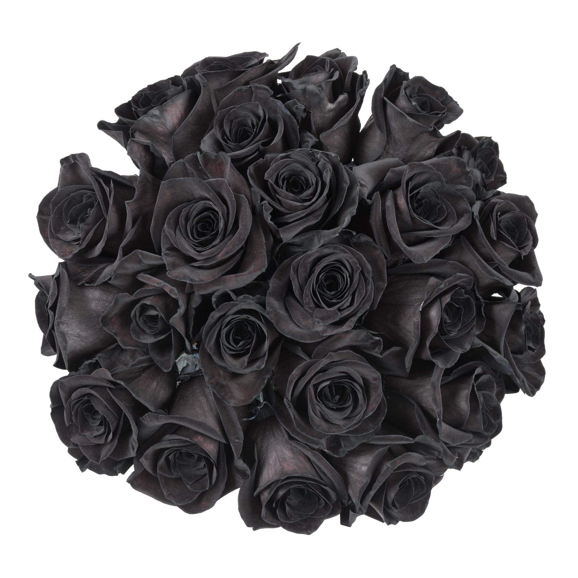 types of black roses