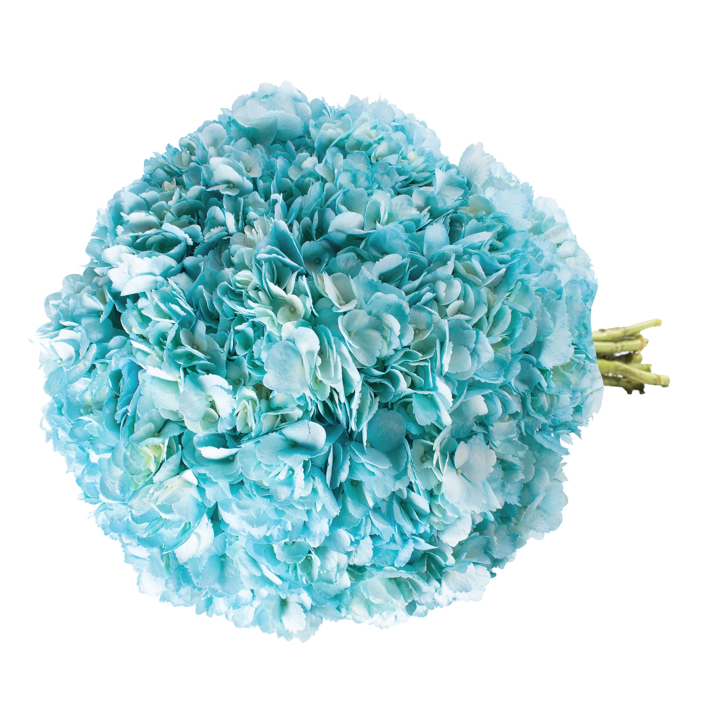 light blue artificial hydrangea