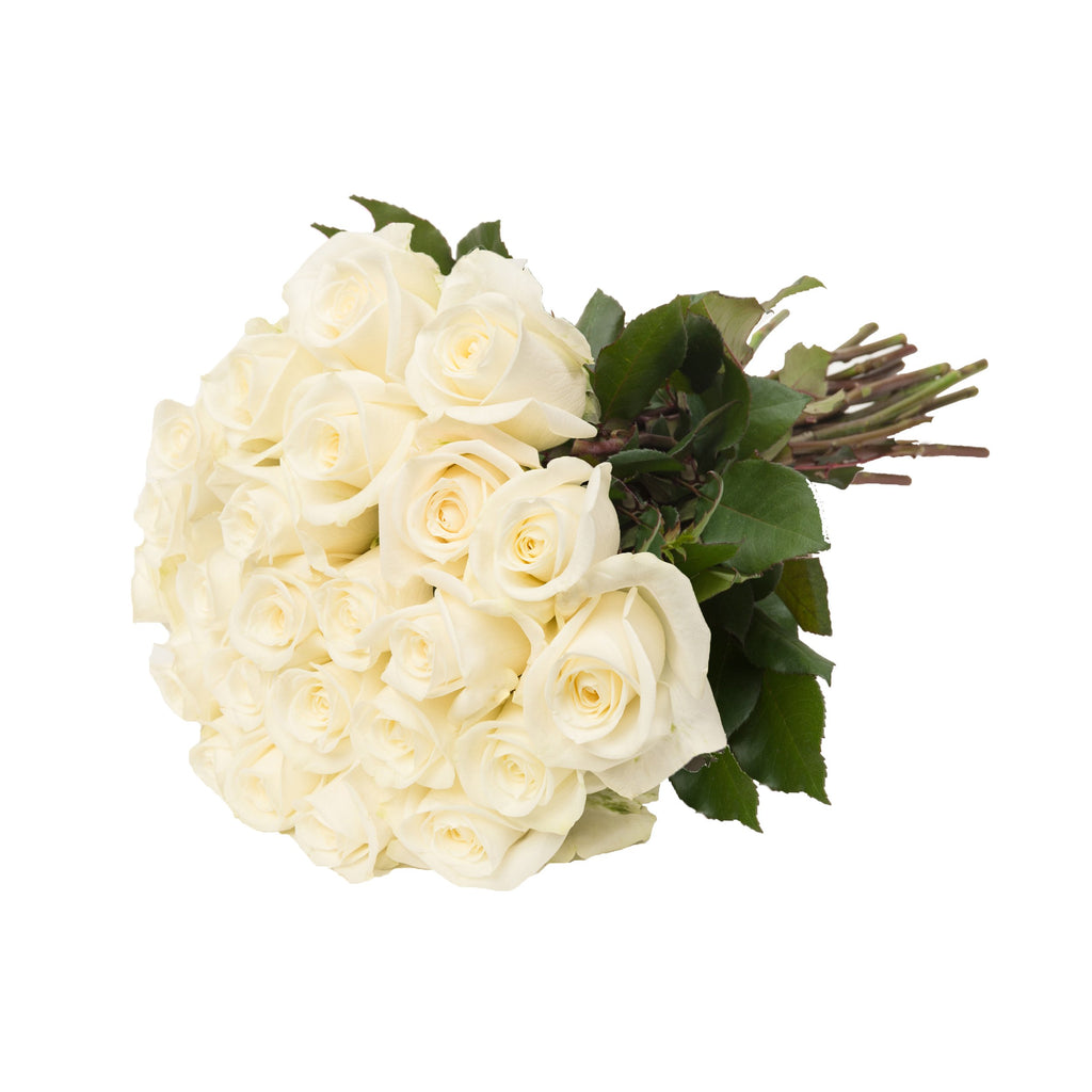 24 Farm Fresh White Roses – Bloomingmore